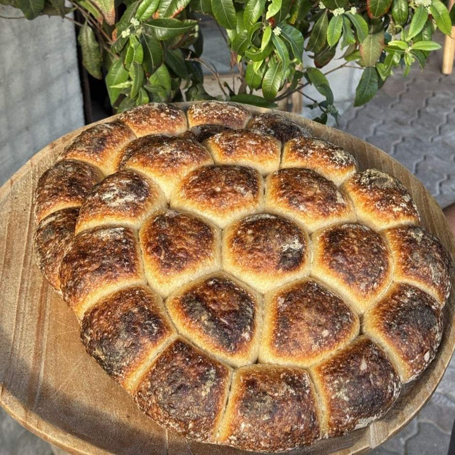 Iggy's Bread Sydney – Iggy's Bread Down Under